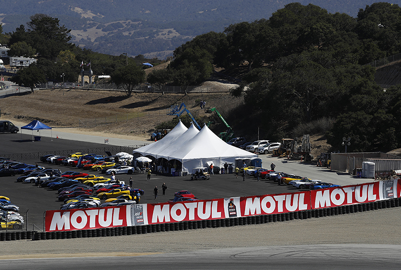 IMSA: Partners - Motul | IMSA